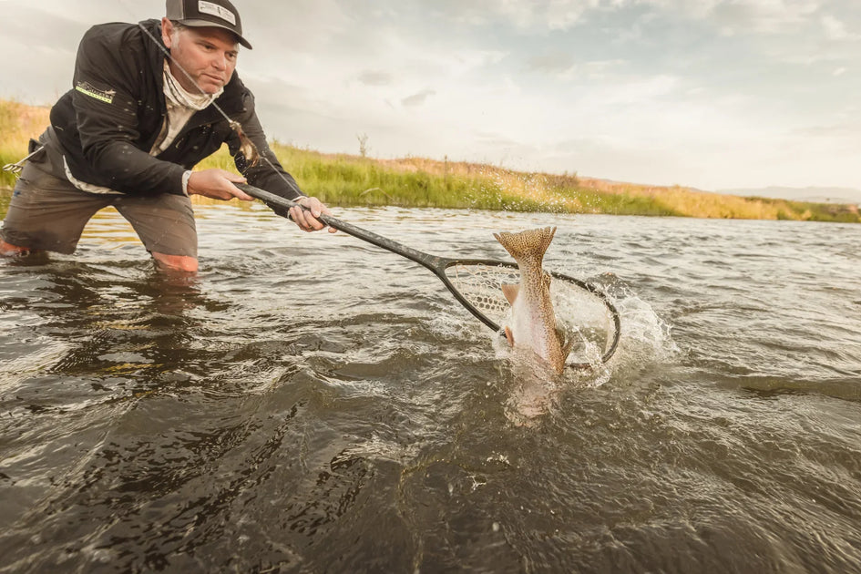 Hot July Sun – Trout Stalkers Fly Shop